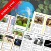 The Ultimate Cosmic Education Bundle: A Complete Nature Curriculum in Cards