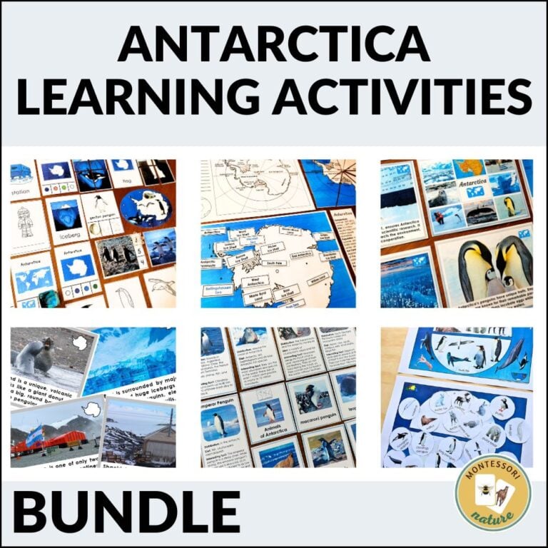 Category: Life Cycle and Parts of - Montessori Nature