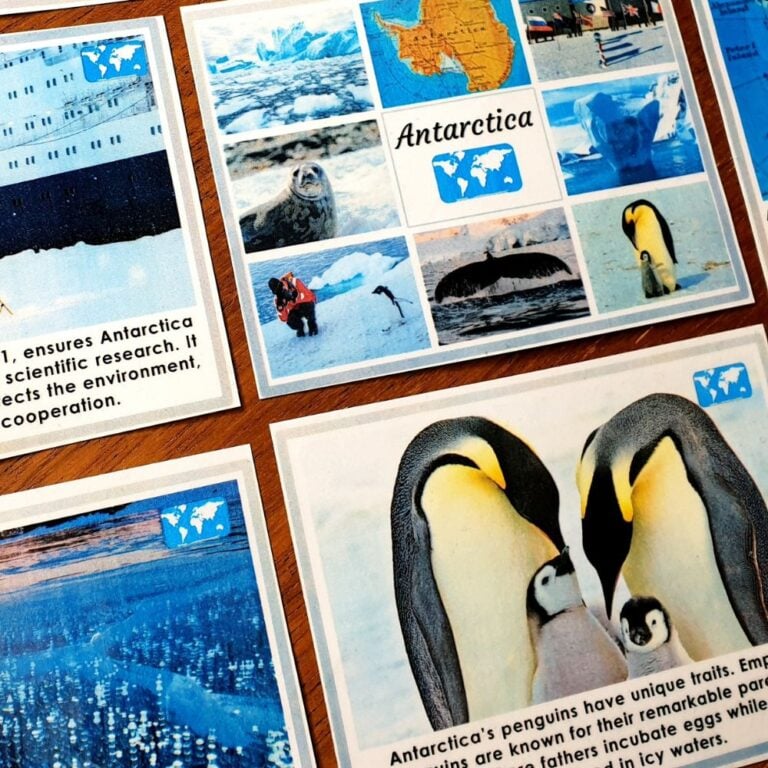 All About Australia Hands-on Activities and Printables - Montessori ...