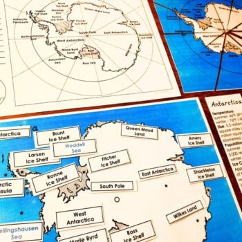 Antarctica Montessori Inspired Activities - Montessori Nature