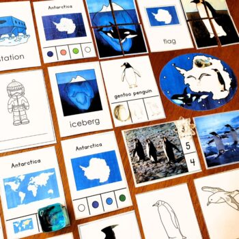 Antarctica Montessori Inspired Activities - Montessori Nature