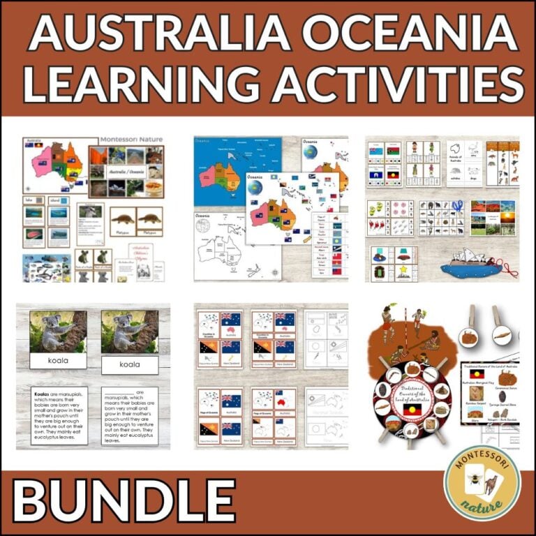 Lion Life Cycle and Parts of a Lion Activities - Montessori Nature