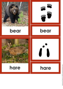 Animal Tracks Montessori Three Part Cards Autumn Themed
