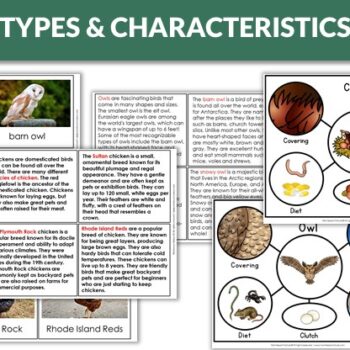 Bird Life Cycle Anatomy 3 Part Cards Charts Information Bundle ...