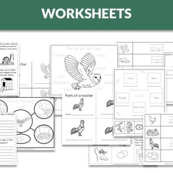 Bird Life Cycle Anatomy 3 Part Cards Charts Information Bundle ...