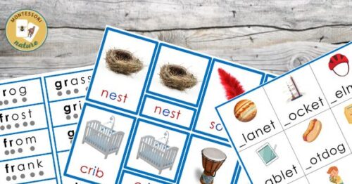 Montessori Green Language Series - Montessori Nature