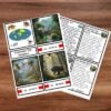 Earth History Timeline Bundle - Montessori Nature