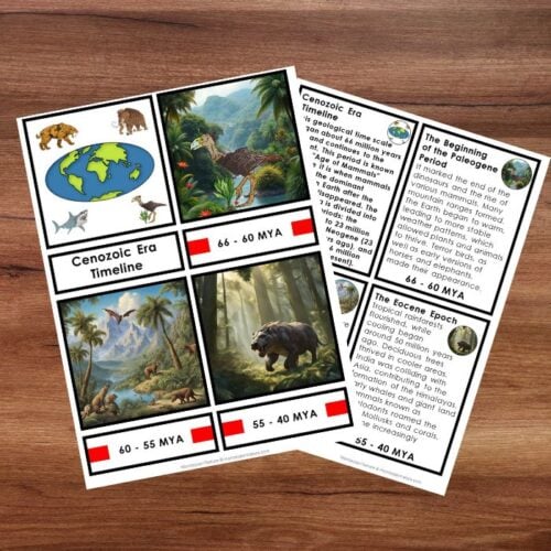 Cenozoic Era Timeline Second Great Lesson 3-Part Cards - Montessori Nature
