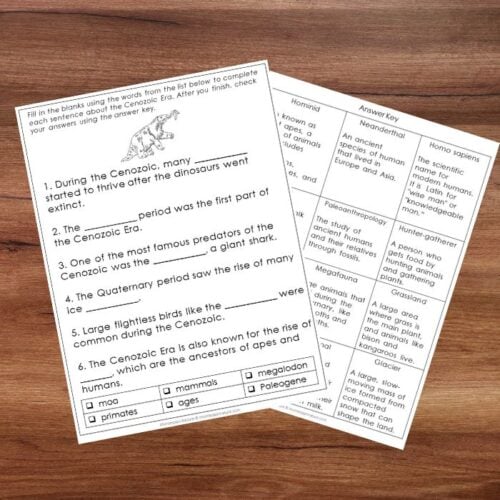 Earth History Timeline Bundle - Montessori Nature