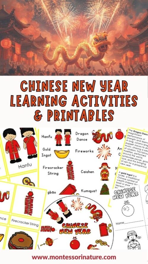 Chinese New Year - Learning Activities and Printables - Montessori Nature
