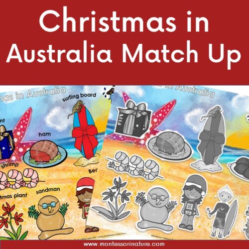 Free Printable - Christmas in Australia - Montessori Nature