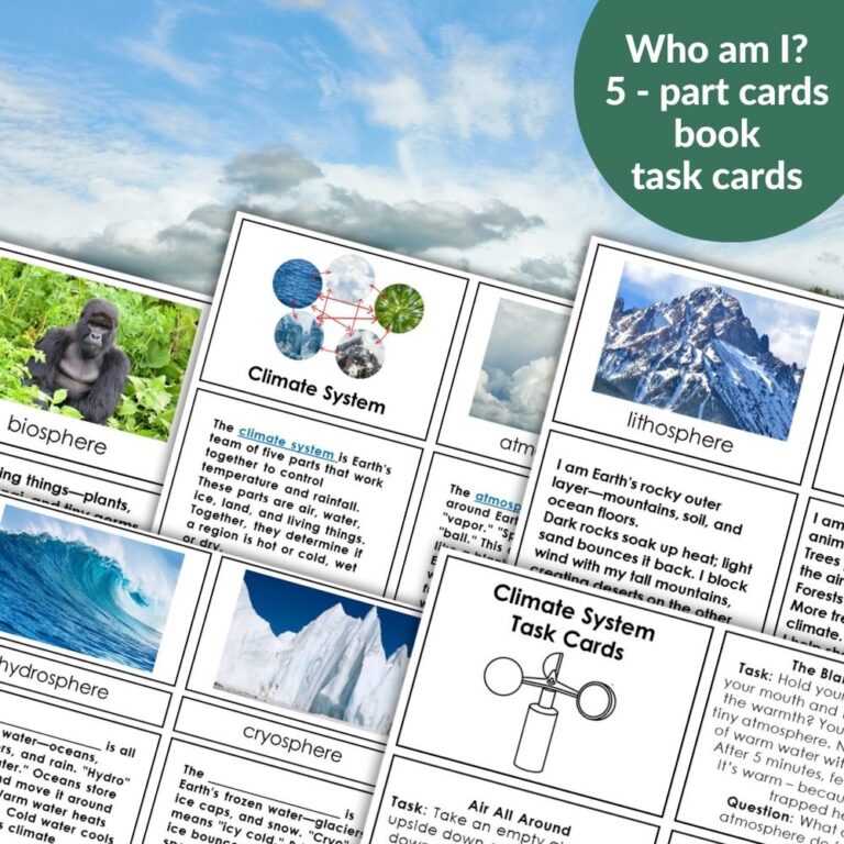 Free Printable - Animals of the Continents Sorting and Matching ...