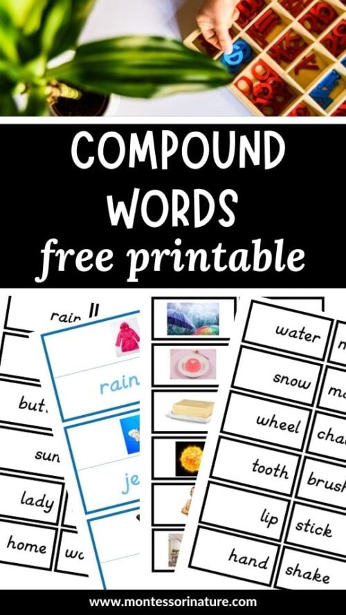 Free Printable - Compound Words - Montessori Nature
