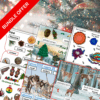Polar Bear Life Cycle and Parts of a Polar Bear Activities - Montessori ...