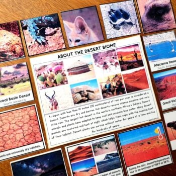 The Ultimate Cosmic Education Bundle: A Complete Nature Curriculum in Cards