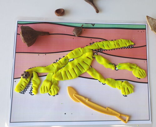 Dinosaur Montessori Inspired Activities and Printables - Montessori Nature