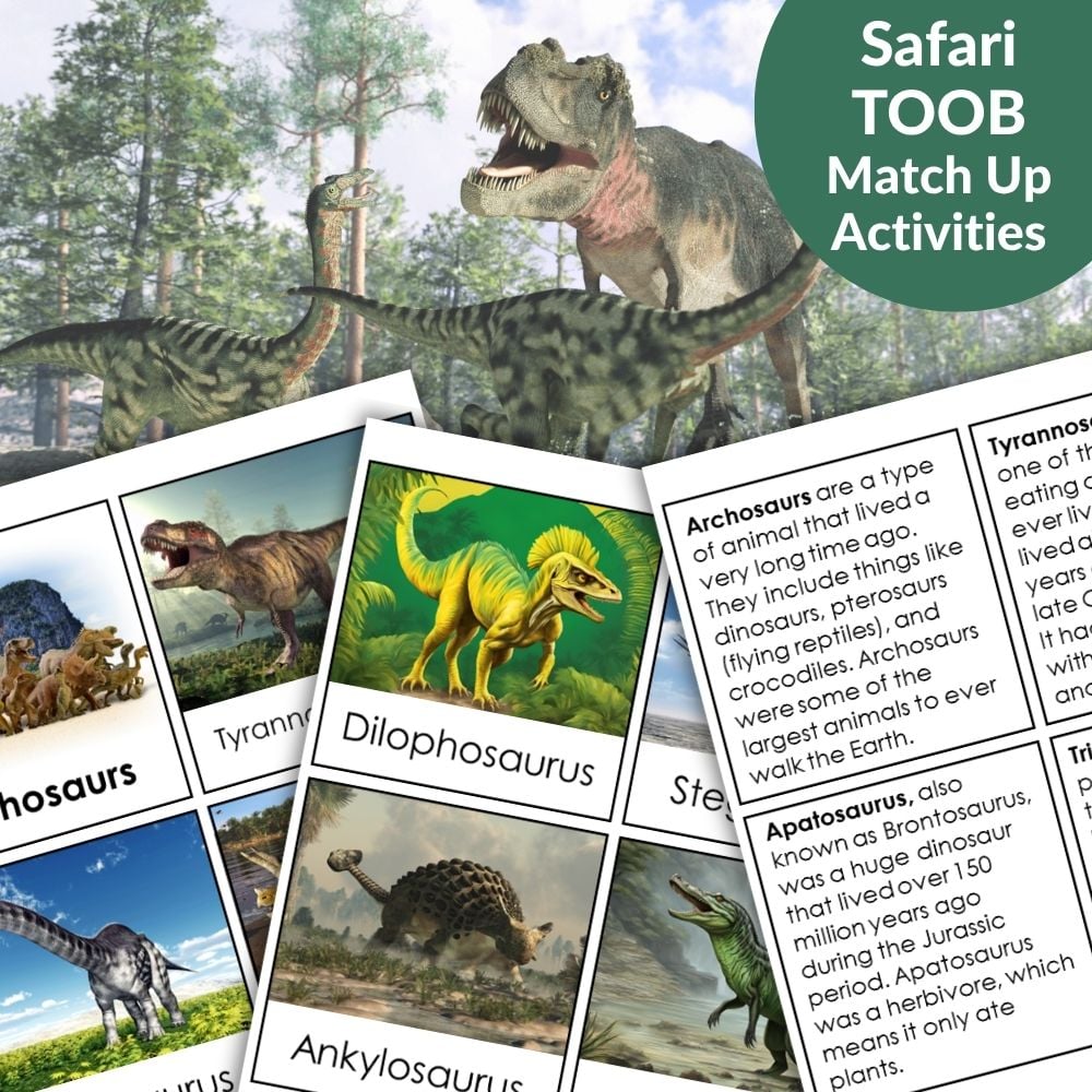 Dinosaurs Toy Matching 3-Part Cards - Object to Picture Matching Activity