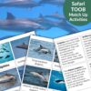 Dolphins: Safari TOOB Compatible 3 Part Cards & Facts
