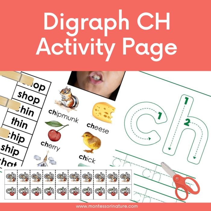 Double Letters 'CH' Digraph Student Activity Page Phonics Free Language ...