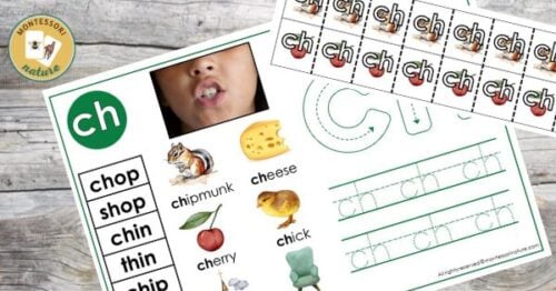 Free Printable - CH Digraph Student Activity Page Phonics - Montessori ...