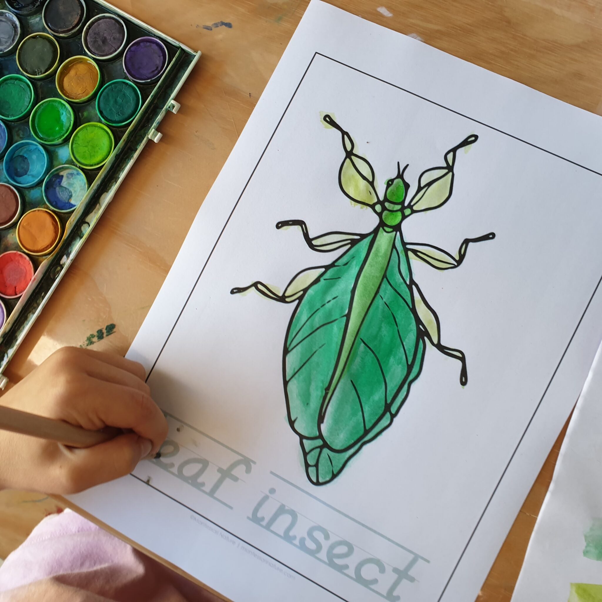 Insects & Other Invertebrates Fine Motor Cutting Push Pin Coloring ...