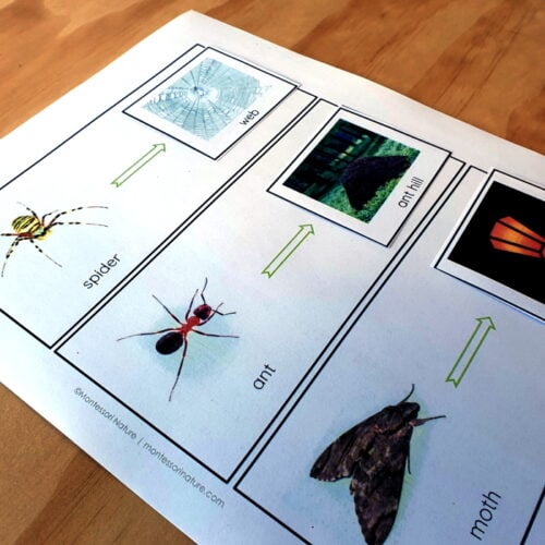 Earth Day Educational Printables and Hands On Learning Activities for ...