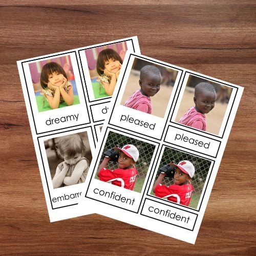 Emotions 3 Part Cards - Montessori Nature