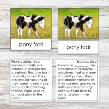 Farm Baby Animals: Safari TOOB Compatible 3 Part Cards & Facts