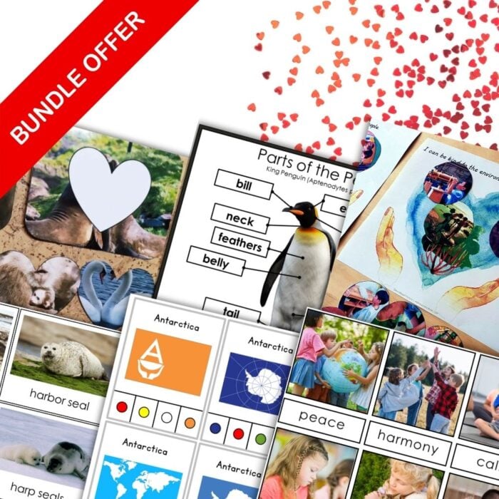 Fox life Cycle and Parts of a Fox Learning Printables and Activities ...