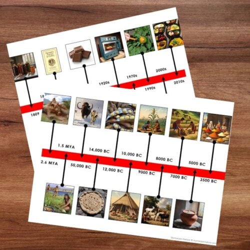 Food History Timeline: Fundamental Need - Montessori Nature
