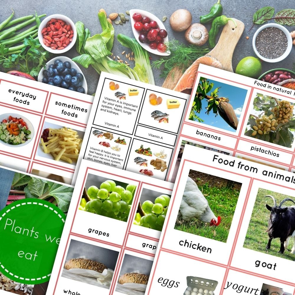 Fundamental Human Needs Montessori Third Great Lesson Printables, Books ...