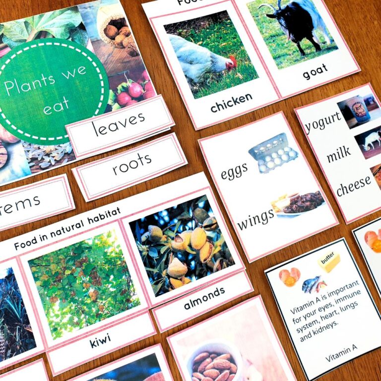 Practical Life Materials And Tools for the Montessori Classroom and ...