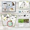 Food Chains and Food Webs of Biomes | Nature Curriculum in Cards
