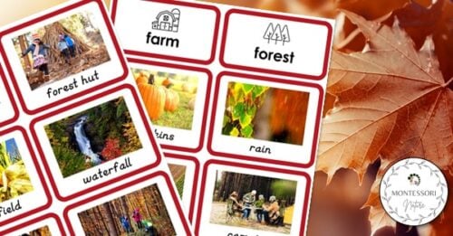 Free Printable - 10 Farm And 10 Forest Sorting Cards - Montessori Nature