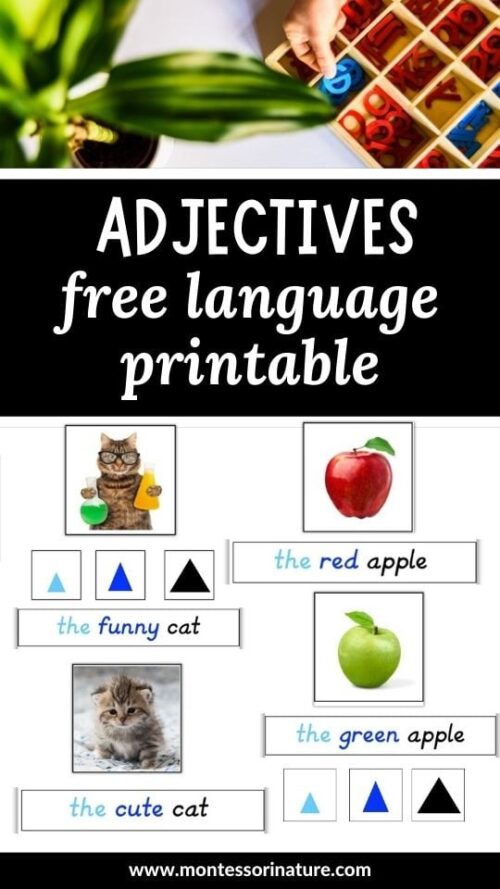 Free Printable - Adjectives - Montessori Nature