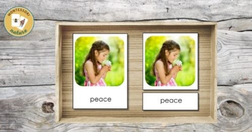 Free Printable - Singular And Plural Nouns - Montessori Nature