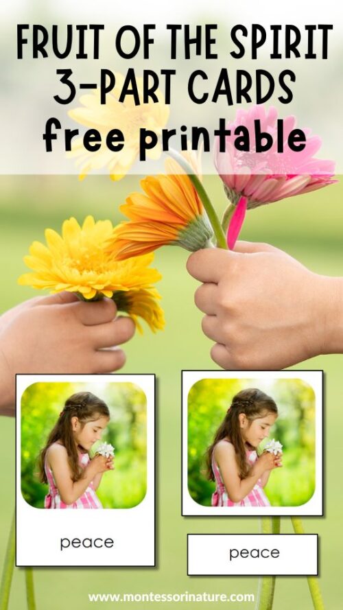 Free Printables - Fruit of the Spirit 3-Part Cards - Montessori Nature