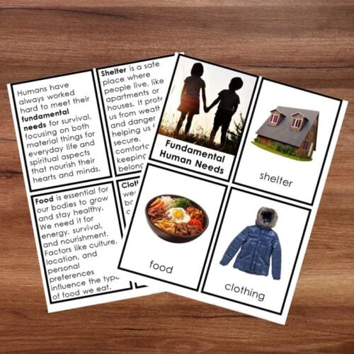 Fundamental Needs of Humans - Montessori Nature