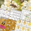 Free Printable - Dandelion Life Cycle and Learning Activities ...