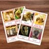 Parts of a Honey Bee Life Cycle Nomenclature 3 Part Cards Facts ...