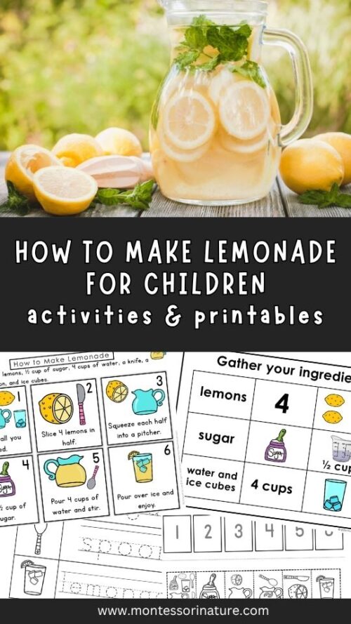 Homemade Lemonade Stand - A Summer Activity for Children - Montessori ...