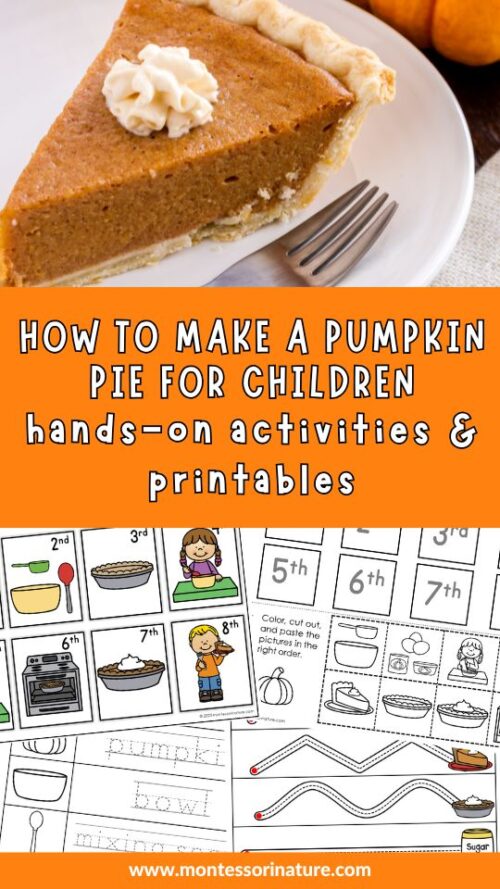 How to Make a Pumpkin Pie - Children’s Activities and Printables ...