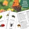 Insects and Crawling Creatures Printable to go along with Safari Toob ...