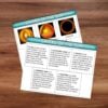 The Ultimate Cosmic Education Bundle: A Complete Nature Curriculum in Cards