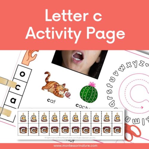 Free Printable - Letter C Student Activity Page Phonics - Montessori Nature