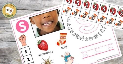 Free Printable - Letter S Student Activity Page Phonics - Montessori Nature