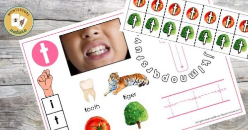 Free Printable - Letter T Student Activity Page Phonics - Montessori Nature