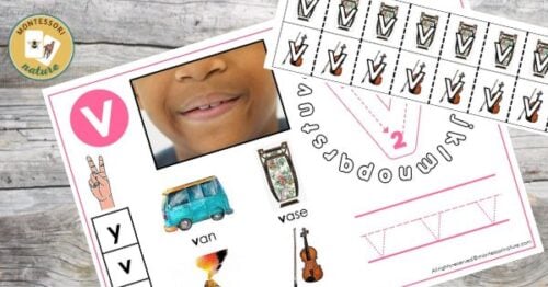 Free Printable - Letter V Student Activity Page Phonics - Montessori Nature