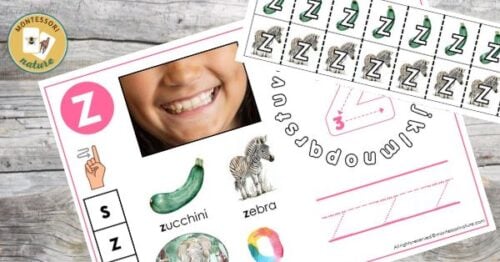 Free Printable - Letter Z Student Activity Page Phonics - Montessori Nature
