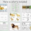 Lion Life Cycle and Parts of the Lion 3 Part Cards Blackline Masters